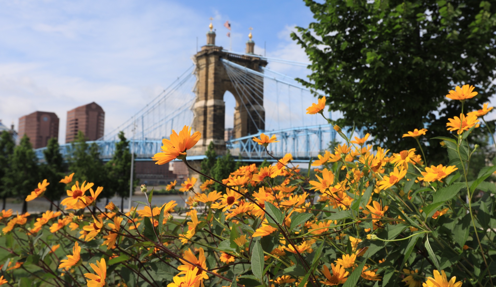 Coolest Suburbs in America | Best of the U.S. | Fifty Grande